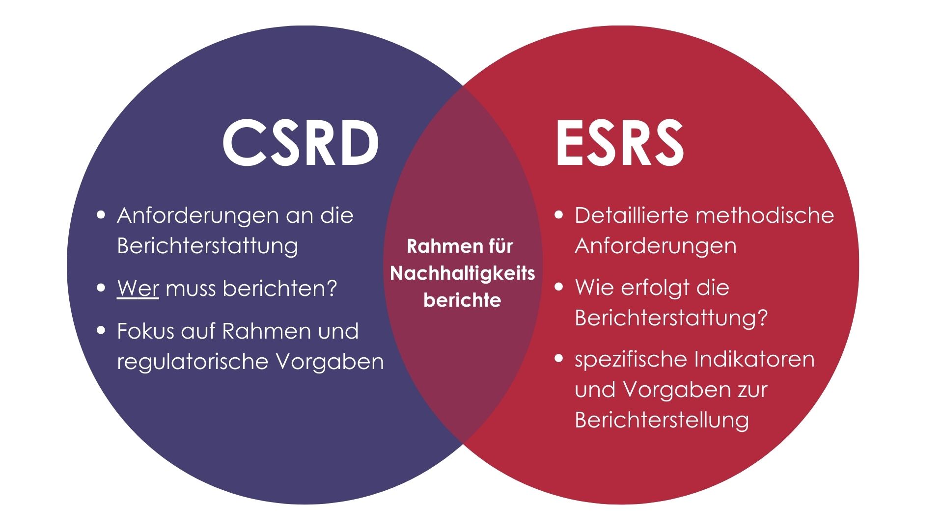 CSRD vs. ESRS: Was sind die Unterschiede? | BI2run