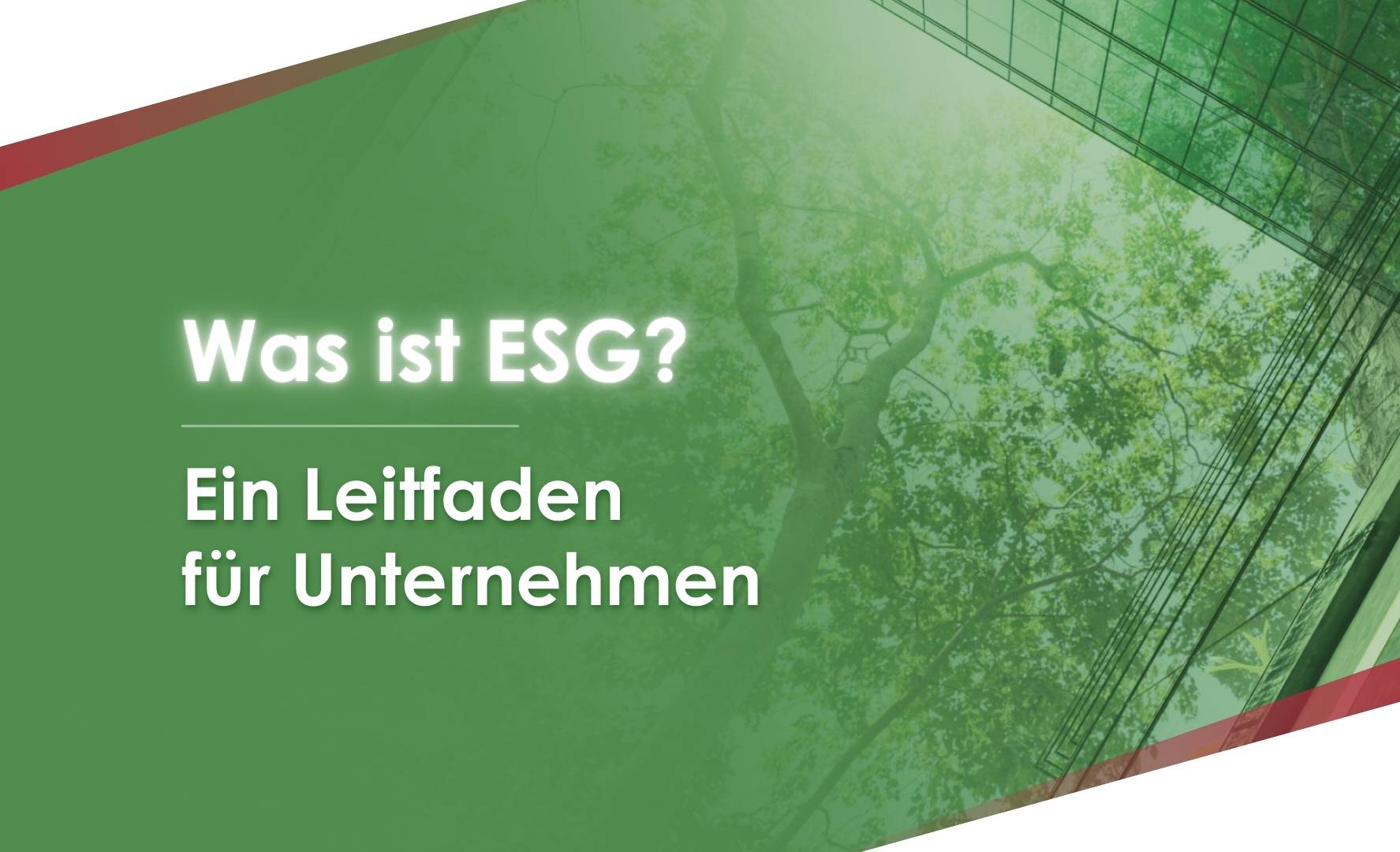 Was ist ESG? Ein Leitfaden für Unternehmen | BI2run