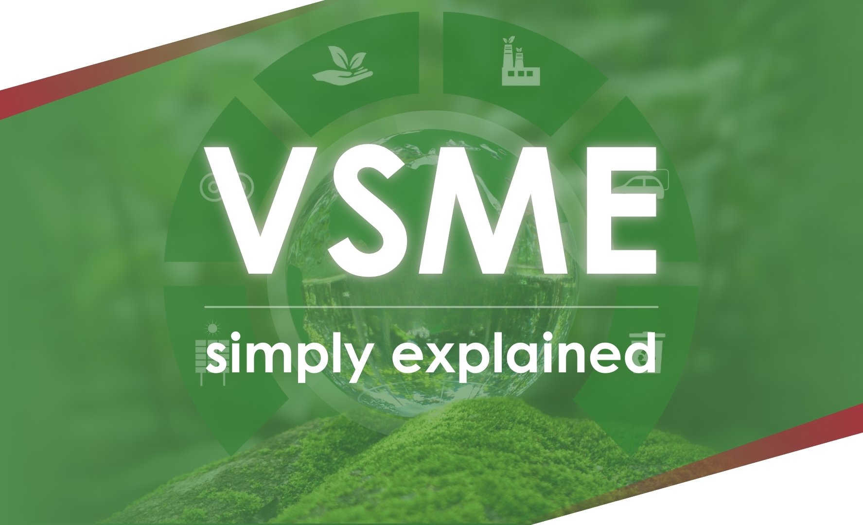VSME simply explained: The voluntary sustainability standard for SMEs ...