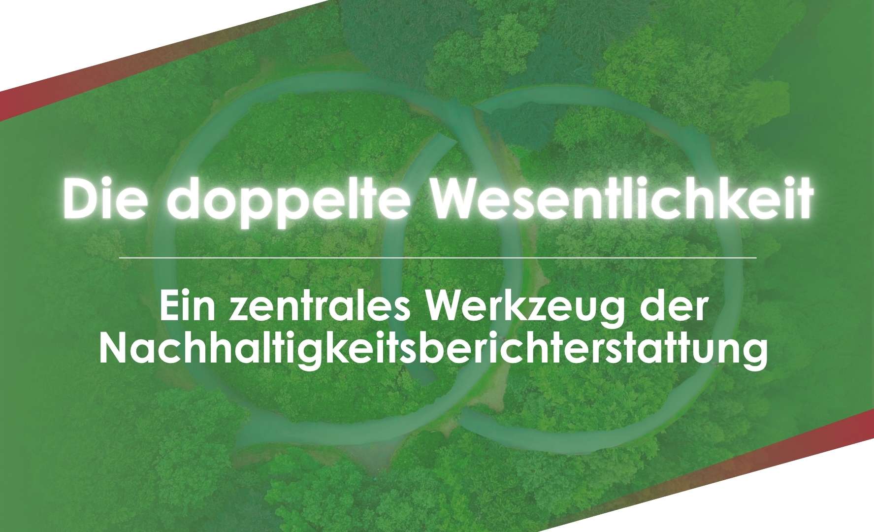 Die doppelte Wesentlichkeit: Ein zentrales Werkzeug der ...