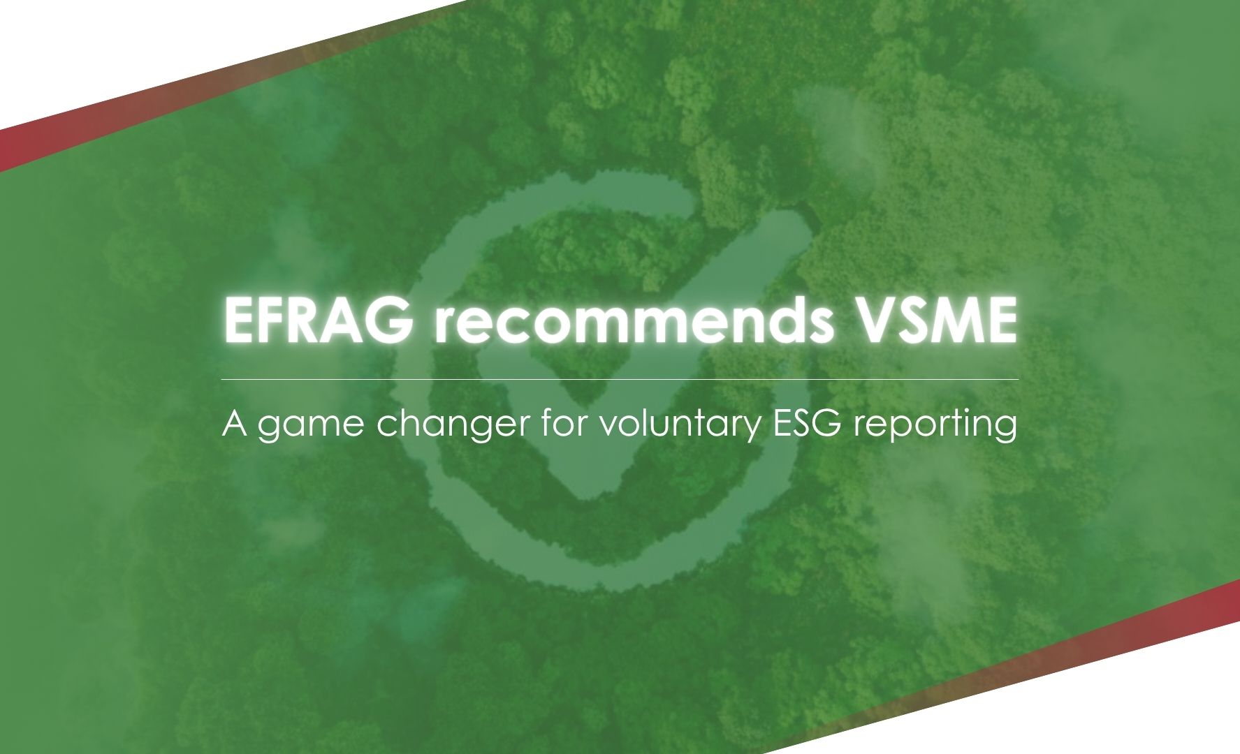 EFRAG officially recommends VSME standard for SMEs – a game changer for ...
