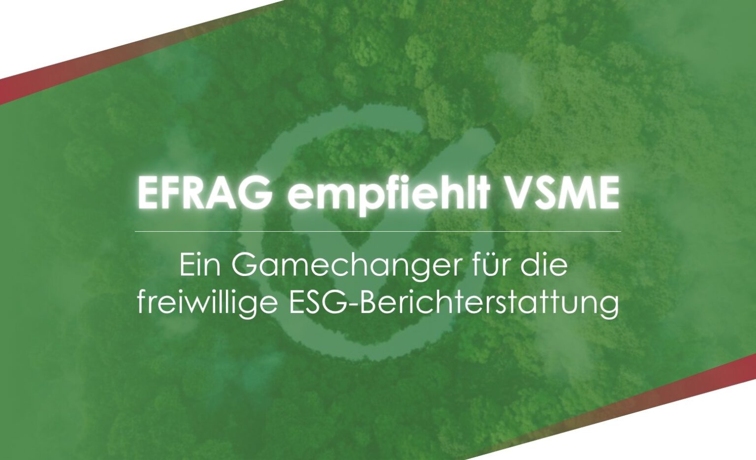 EFRAG empfiehlt offiziell VSME-Standard für KMU – Gamechanger für ...